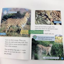 Bộ sách Oxford Read and Discover/Imagine Level 1 - LalaBookShop