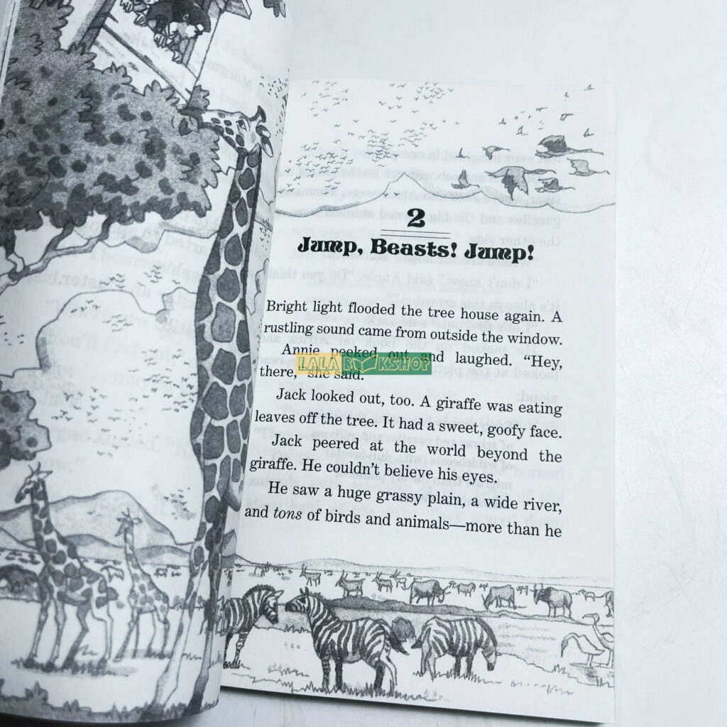 Sách Nhập Khẩu Bộ truyện MAGIC TREE HOUSE -38 cuốn ( Kèm Audio ...