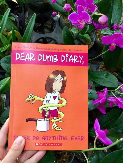 Bộ sách Dear Dumb Diary - 18 cuốn ( kèm file nghe) - LalaBookShop