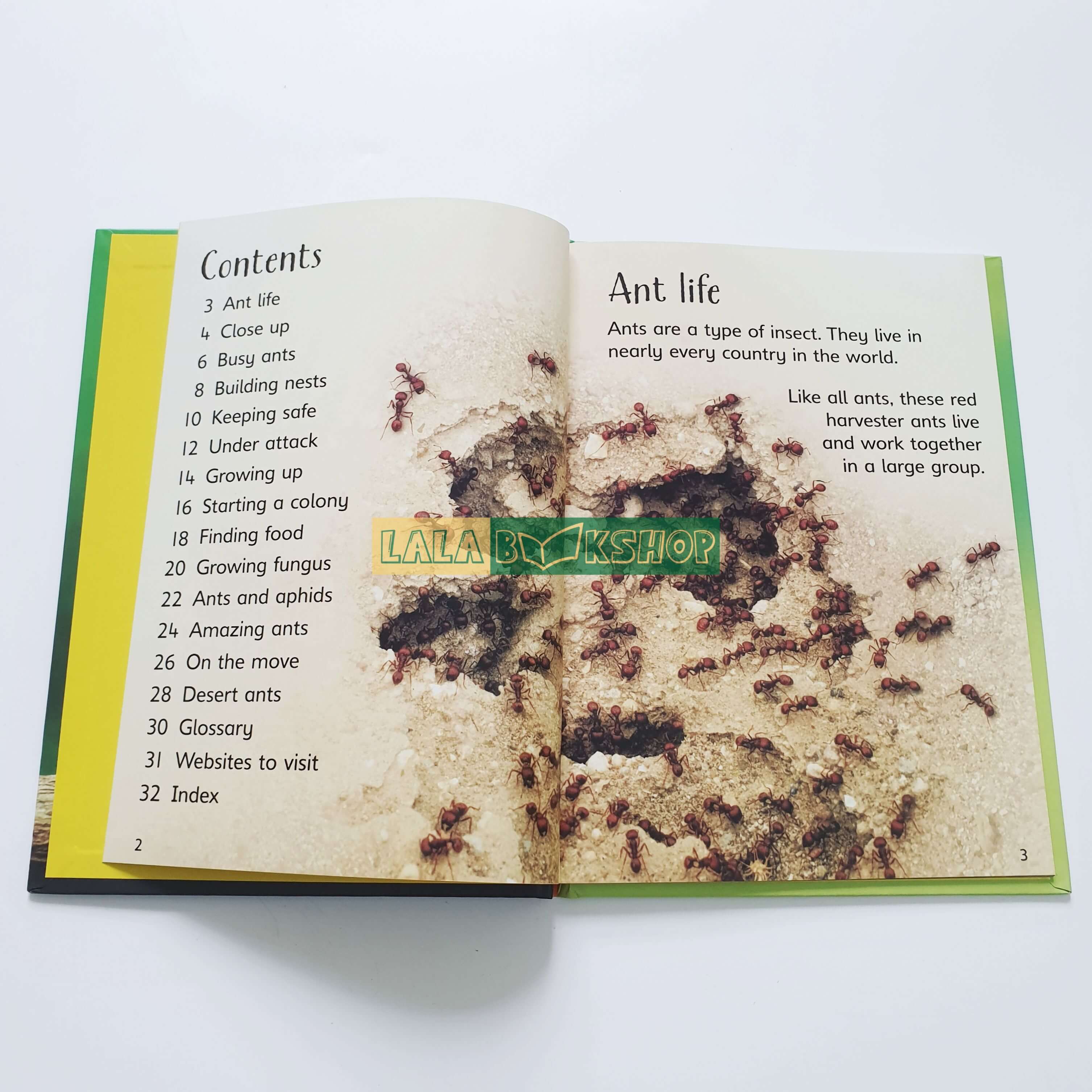 Bộ sách Usborne Beginners Nature Box Set Collection -10 cuốn - LalaBookShop