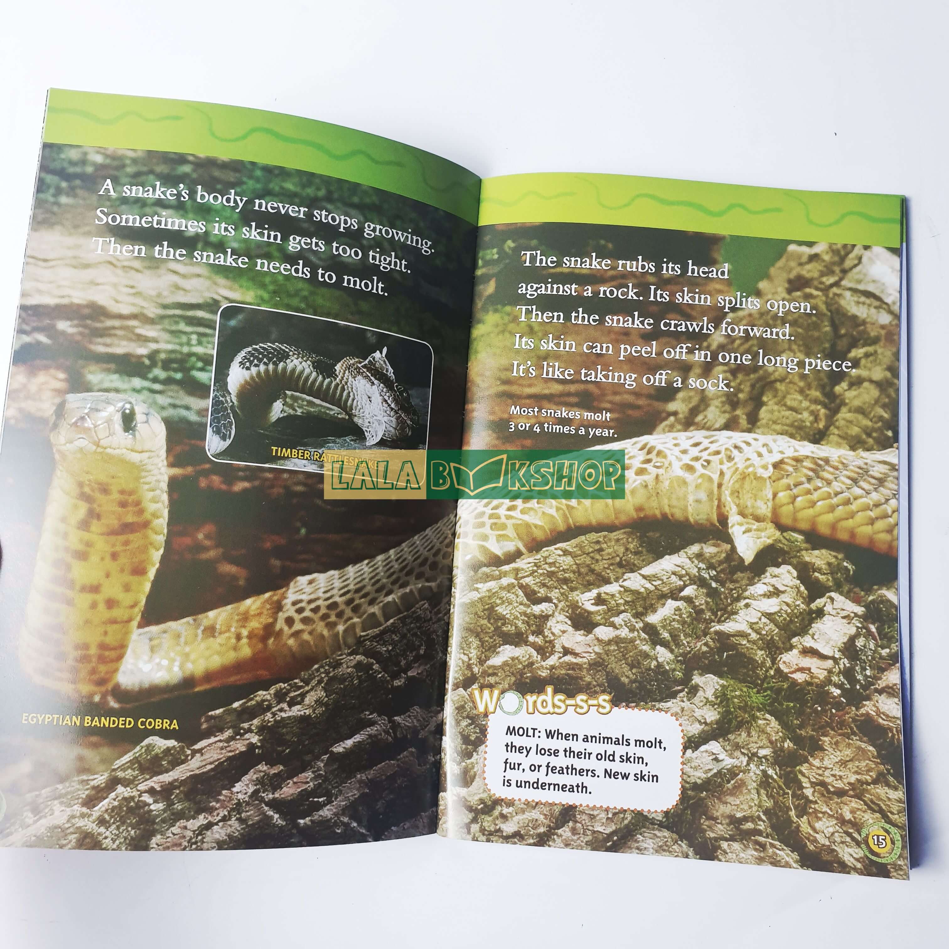 Bộ sách National Geographic Kids level 2 – 36 cuốn , kèm file nghe ...
