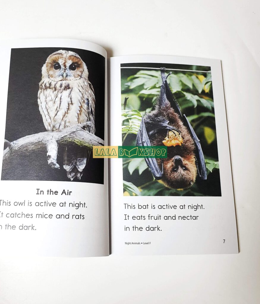 Bộ Sách Razkids Level F - Sách Nhập Khẩu In Gộp 10 cuốn (Trọn Bộ File ...