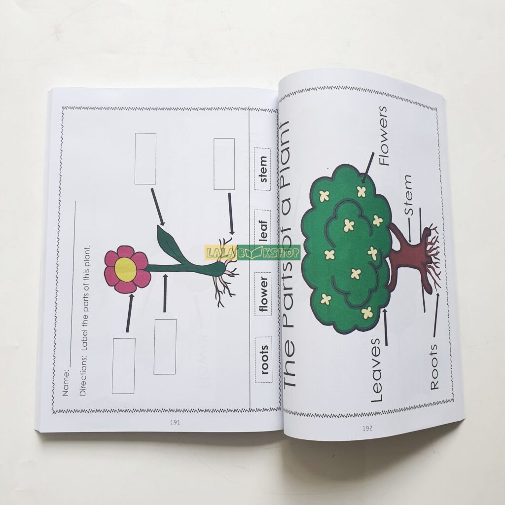 [Sách Nhập Khẩu] Very First Alphabet ( kèm File nghe ) - LalaBookShop